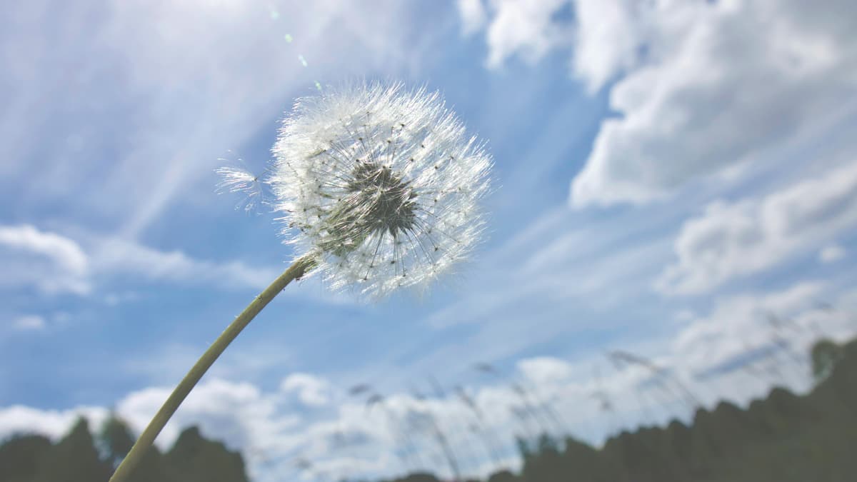 Behner Funeral Home & Crematory - Fairfield, IA | Funeral Home Directory
